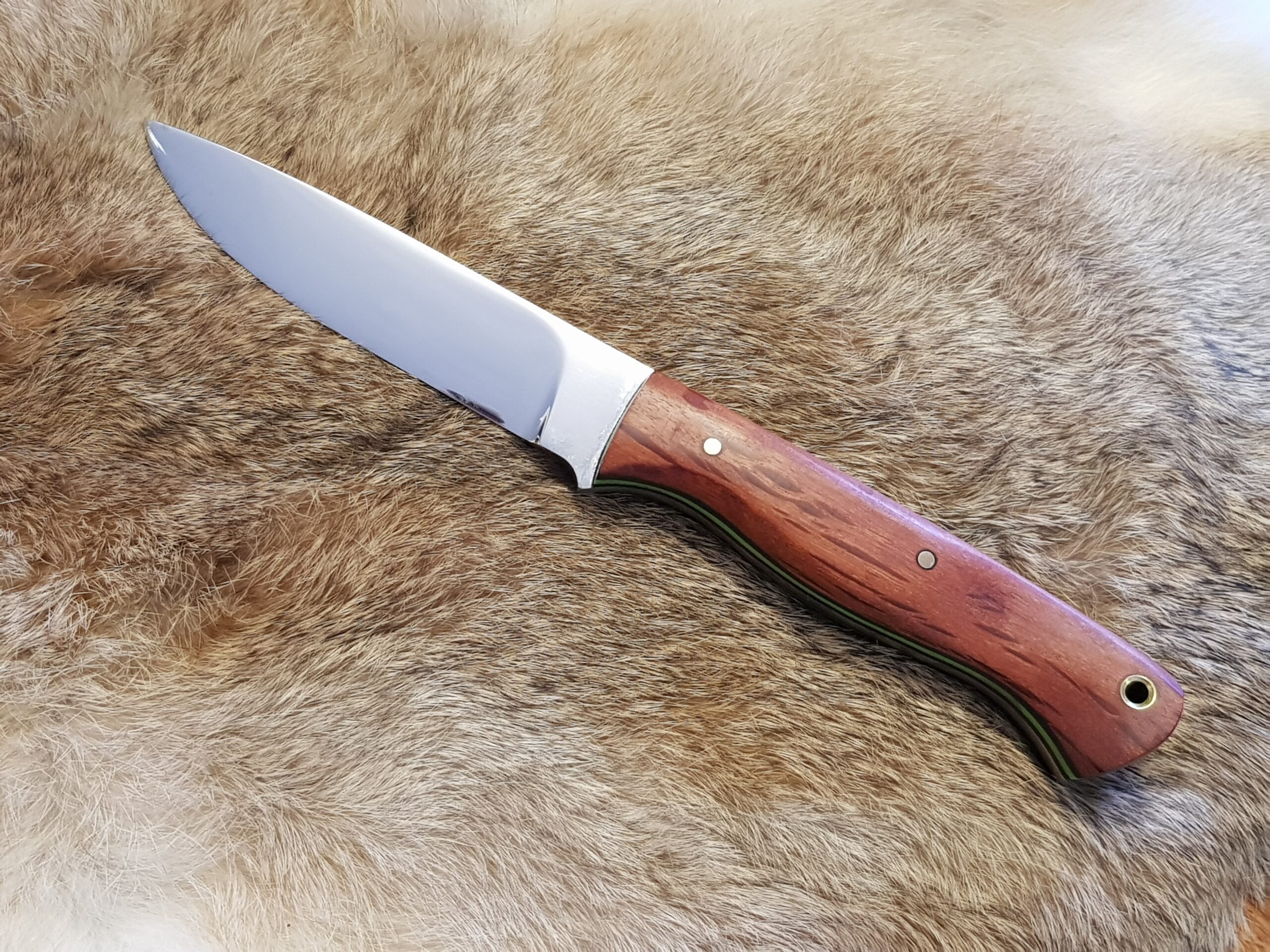 Beginner Knife Making Kit with Hunter/Skinner Water Jet Cut Blank ...