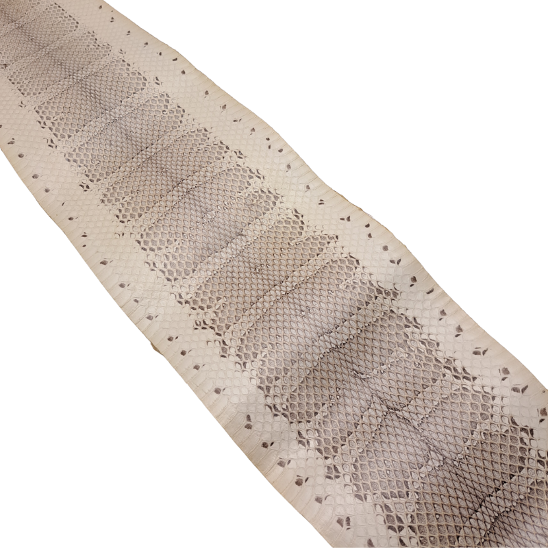 Water Snake Skin - Artisan Supplies